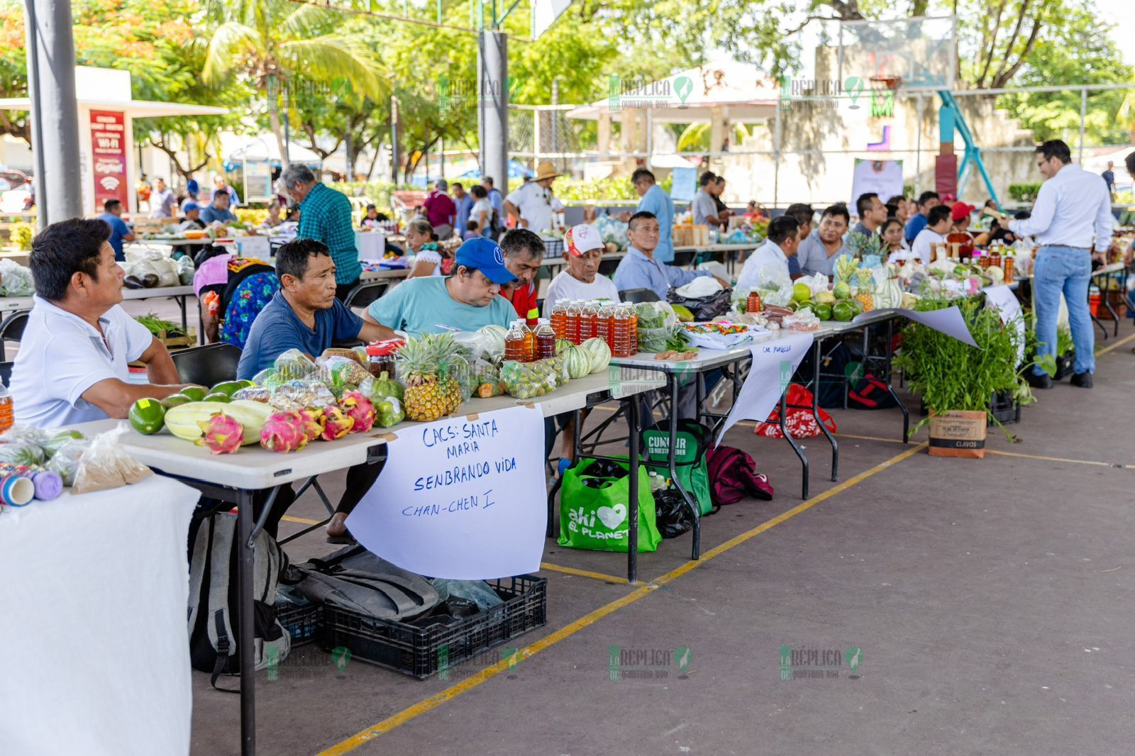 Ayuntamiento de Tulum organiza mercado del productor "Sembrando Vida Tulum"